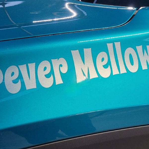 Custom Hood Vinyl Decals, Personalized Hood Name Custom Text Vinyl ...