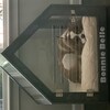 Fully Transparent Modern Dog and Cat House With Acrylic Sides Petso ...