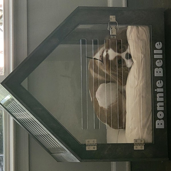Fully Transparent Modern Dog and Cat House With Acrylic Sides Petso ...