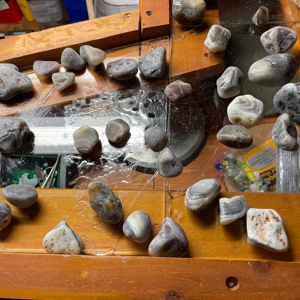 Fossil Mix Raw Fossil Hunting Kit Genuine Assortment of Fossils Bulk ...