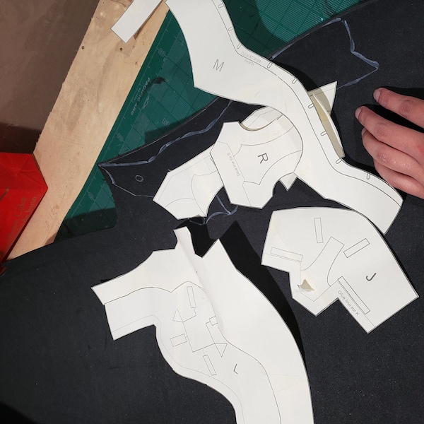 Laios Touden Digital Cosplay Armor Pattern Delicious in Dungeon - Etsy