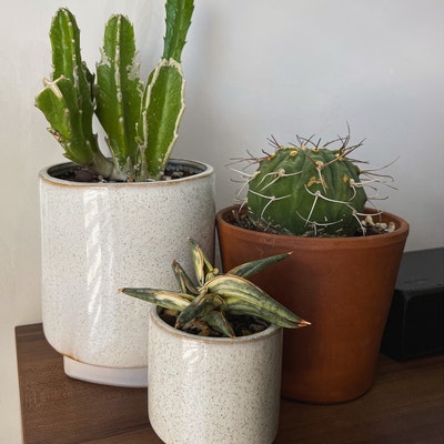 Elegant Emmie Planter Speckled Pot 5.5 X 5.75 Planter - Etsy