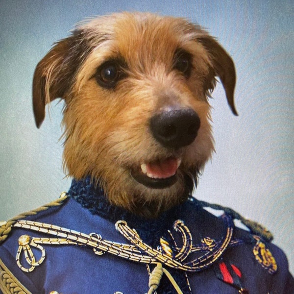 Custom Military Pet Portrait . Custom Renaissance Pet Portrait . Custom ...