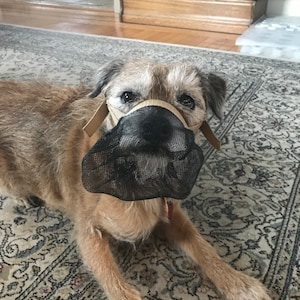 Smuzzle: A Soft Muzzle That Lets Your Dog Smile - Etsy