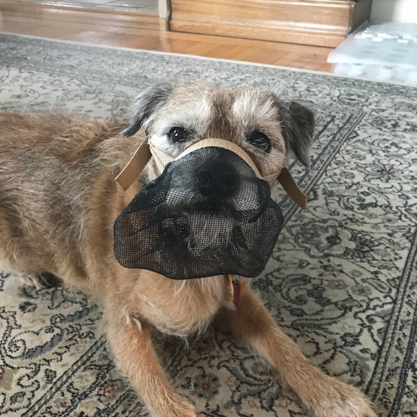 Smuzzle: A Soft Muzzle That Lets Your Dog Smile - Etsy