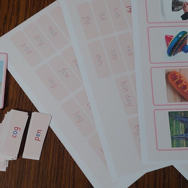 Montessori AMI Curriculum: Complete Print + Digital Download (PDF) SET ...