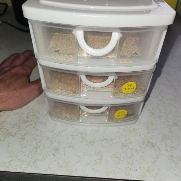 Dubia Self Cleaning Breeder Box Farm, Large 8 Gallon, Roach Breeding ...