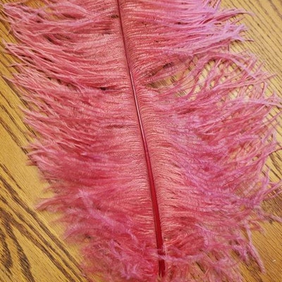 2 Large OSTRICH Feather Fans in WHITE 50 X 30 for Burlesque Fan Dance ...