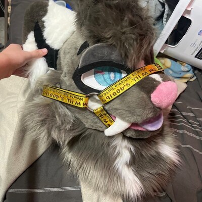 PDF Pattern Download Bluey Style Cosplay Cartoon Dog Fursuit Tail ...