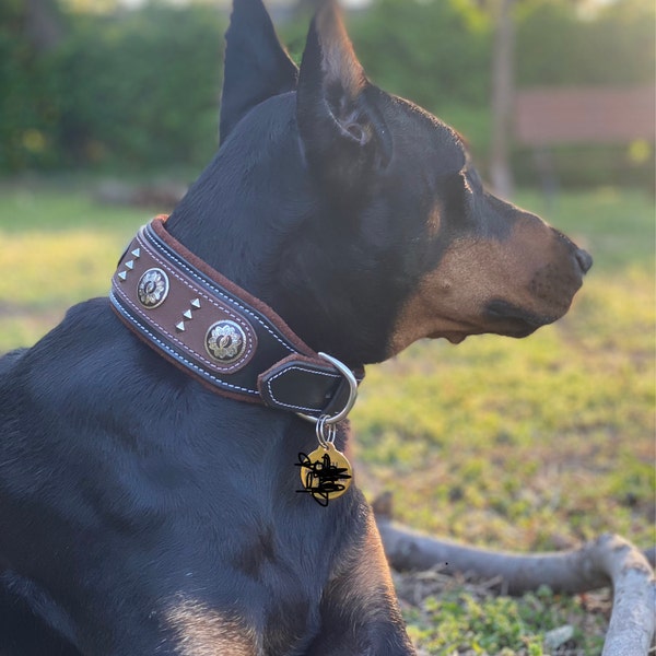 Blazingpaws Mariner 2 Inch Wide Thick Western Leather Dog Collar for ...