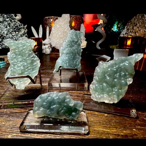 Rare Natural Agatized Petrified Palm Wood Fossil Cabochon, Petrified ...