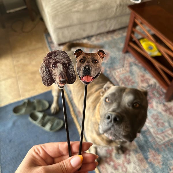 Drink Stirrers Personalized With Dog Face, Pet Birthday Stir Sticks ...