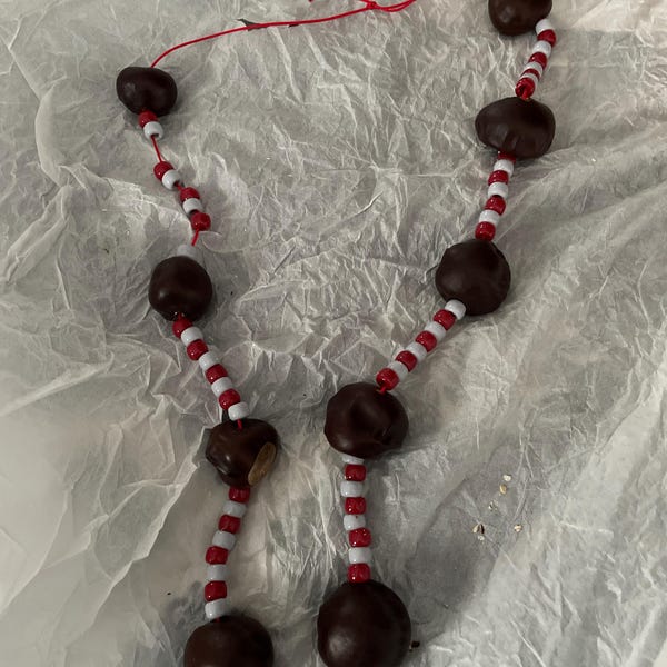 Real Ohio Buckeye Necklace With Red and Gray Beads - Etsy