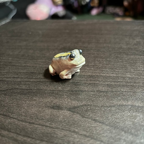 Handmade Polymer Clay Angry Screaming Black Desert Rain Frogs Figurine ...