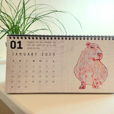 Printable Capybara Valentine's Day Cards Capybara Classroom Valentine's ...