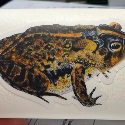 Frog Laptop Sticker, Antique Toad Vinyl Vintage Stickers, Fun Outdoor ...