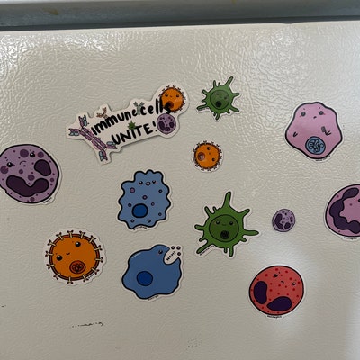 Cute Hematopoiesis Sticker Sheet Blood Cells Immune Hematology ...
