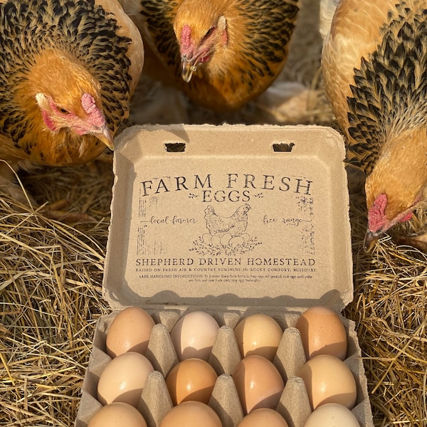 Vintage Square Egg Carton Rubber Stamp 4x6 Inch Happy Broody Nesting ...