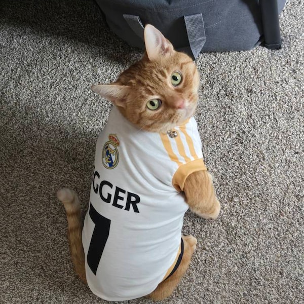 Liverpool FC -inspired Personalised Pet Tank Top With Original FC Logo ...