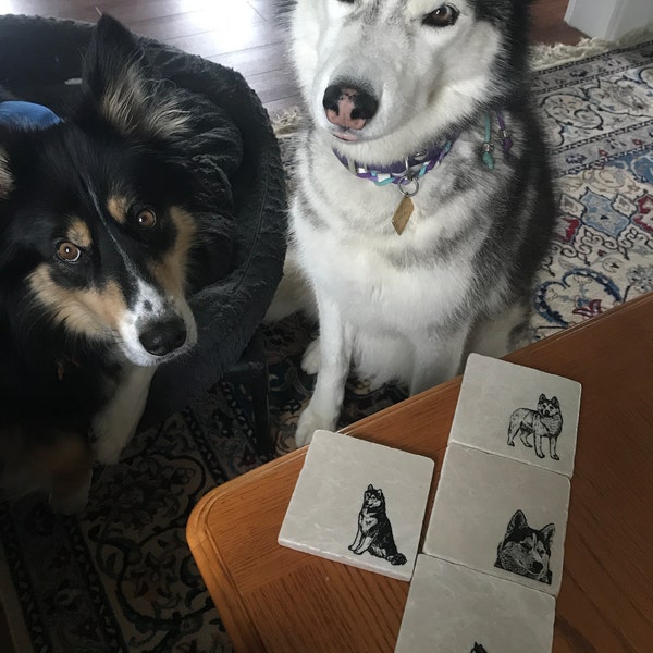 Husky Dog Coasters ~ Siberian Husky Coasters ~ Dog Coasters ~ Dog Gift ...