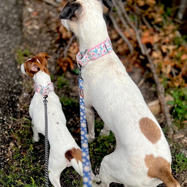 I Am Enough Dog and Cat Collar Funny Collar Custom Collar - Etsy