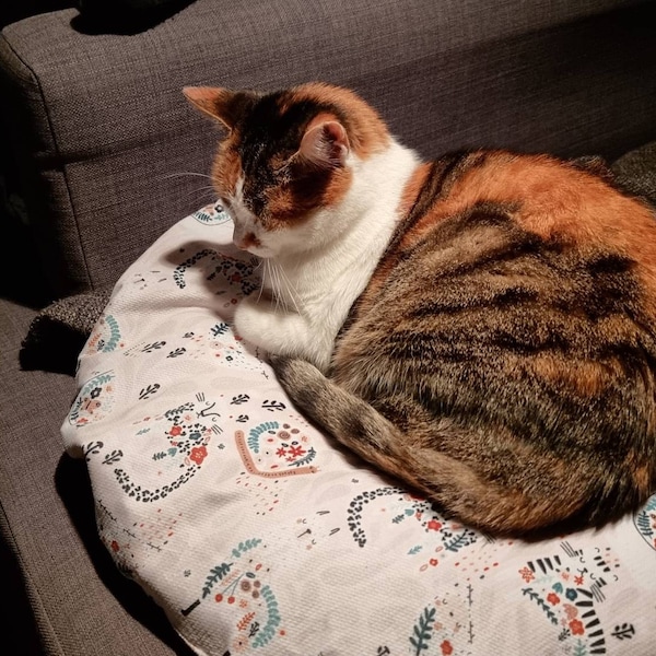 Autumn Leaves Tie on Cat Bandana, Matching Owner Scrunchie, Breathable ...