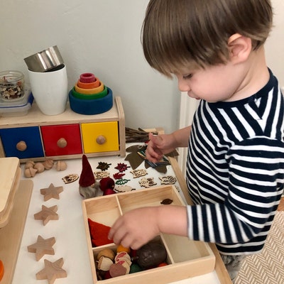 Honeycomb Bumblebee Counting Sensory Bin, Preschool Math, Montessori ...