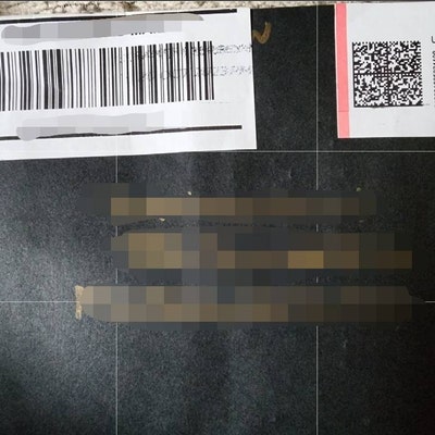 Money Tree Self Charging Sigil Sticker - Etsy