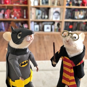 Taxidermy Mouse Pope Francis | Etsy