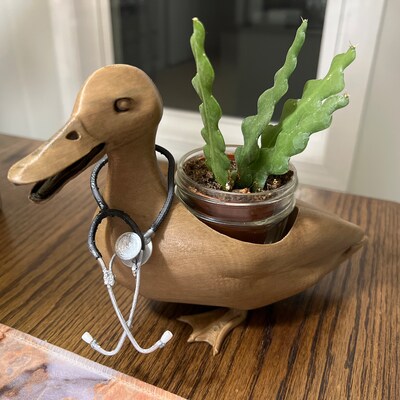 Original Duck Bowl Flower Pot Succulent Planter 3D Printed - Etsy