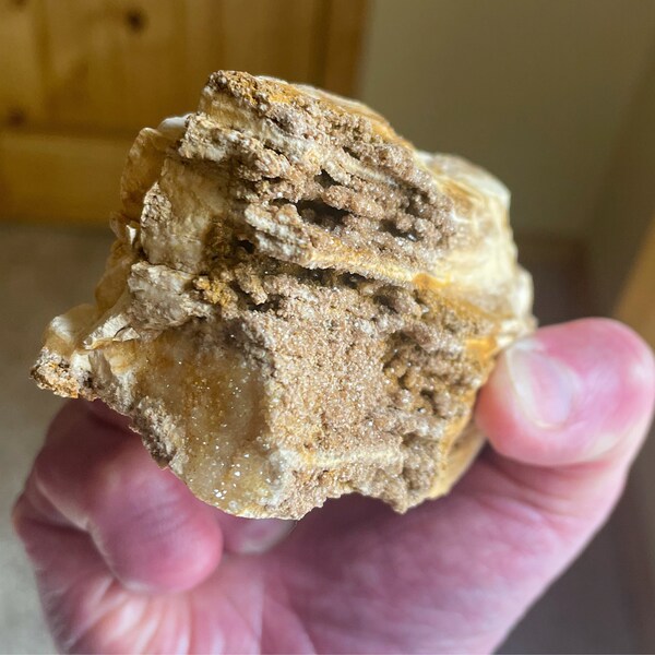 BIRDS EYE RHYOLITE, Cut and Sanded Stone, Minerals, Rhyolite Collectors ...