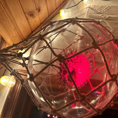 Tiki Lamp Light Fish Float Glass Light Pendant Ceiling Decor Bar Lounge ...