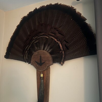 Classic Turkey Fan Mount - Etsy