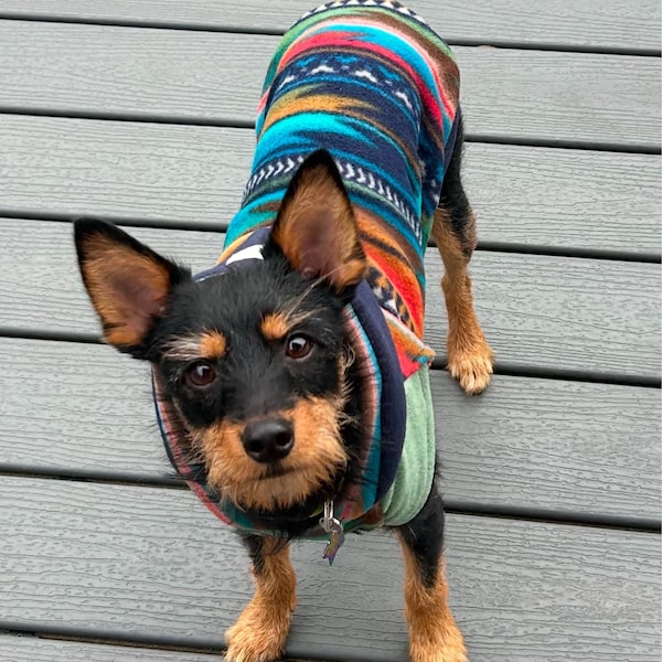 Dog Neck Band With Name. Custom Pet ID. Engraved Dog Collar. Custom Cat ...