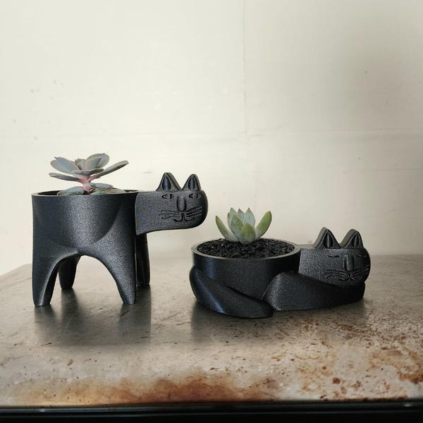 Cat Planter Pot for Cactus - Cat Plant Gifts - Cat Succulent Planter ...