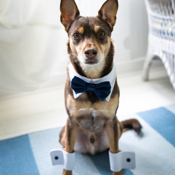 Dog Cuffs, Custom Dog Tuxedo Cuffs for Wedding, Dog Wedding Accessory ...