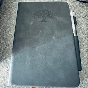 Male Minotaur Spirit Companion Physical Vessel, Spirit Keeping, Spirit ...