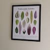 Hoya Varieties - Plant Identification Chart - Digital Download - Etsy