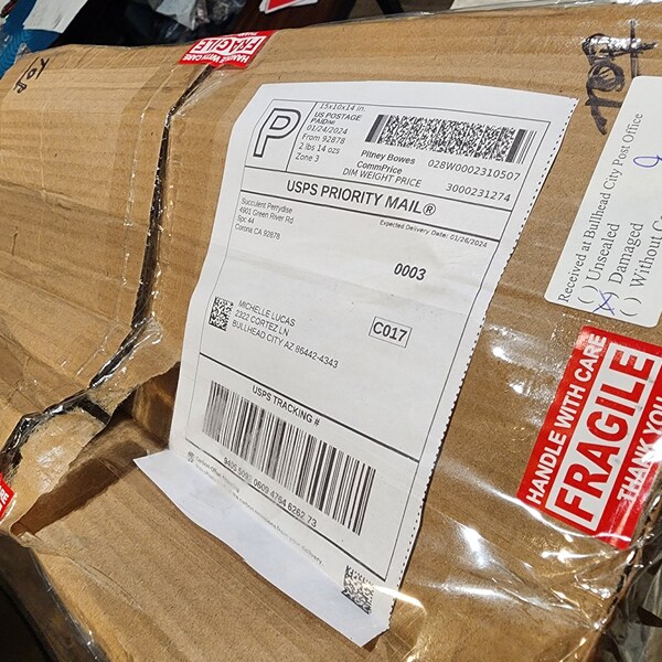 SECRET STASH Faux Succulent Hide-a-key Pot 7-1/2 Tall X 3-1/2 Wide hide ...