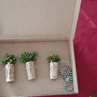 Mini Moss Wall Art in Miniature Embroidery Hoop Long Lasting Eco Gift ...