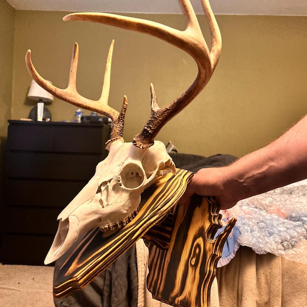 Euro Mount Pedestal - Etsy