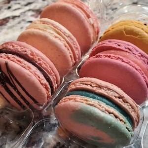 Izzy French Macarons Surprise Me Flavors Assorted Standard - Etsy