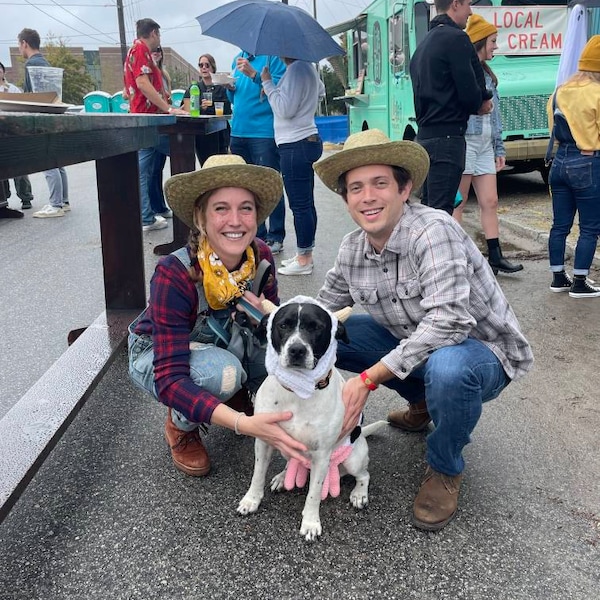 Udderly Adorable Cow Udder Dog Costume! Horn “hat” Also Available ...