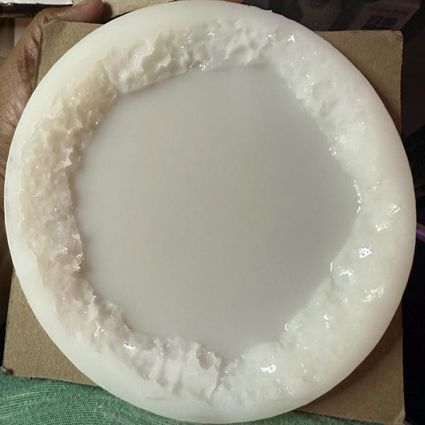 Shells With Ocean - Epoxy Resin Ocean in Shells - Etsy