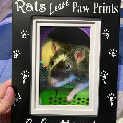 Rat Paw Prints 4x6 Picture Frame - Etsy