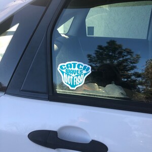 Indigenous Rights Activism Decal Set, Human Rights Decolonize Sticker ...