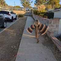 Partridge Costume, Bird Costume, Partridge in a Pear Tree, Wings and ...