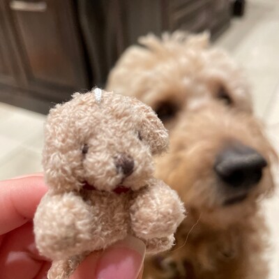 Miniature Stuffed Puppy Mini Plush Dog Doll Accessory Dollhouse Pet ...