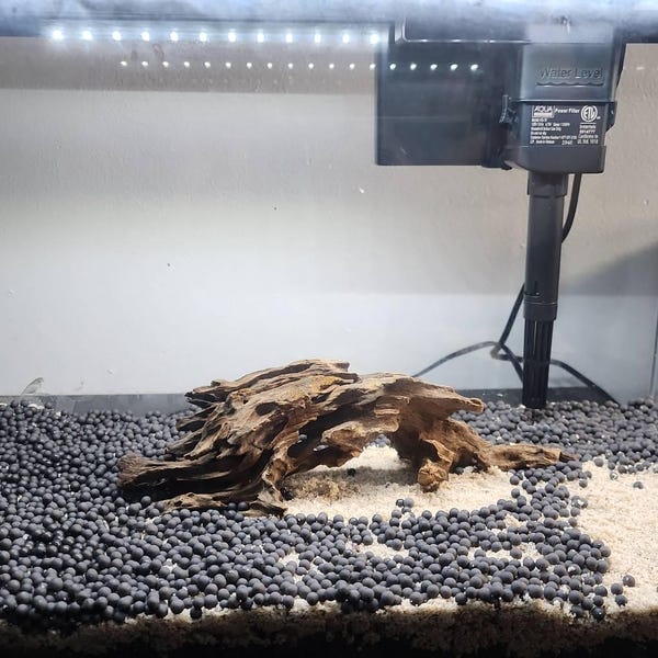 Nano Hardscape Setup: Beach Stones and Pebbles | Aquarium Aquascape ...