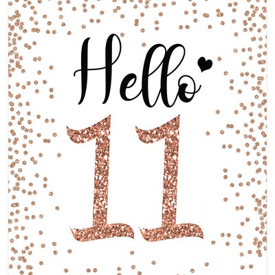 Rose Gold Hello 11 Sign, Cheers to 11 Years, 11th Birthday Sign, 11th ...